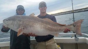 Gallery | Miss Susie Charters